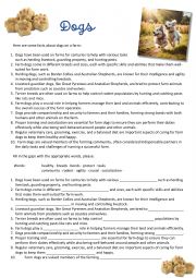 The animals worksheets