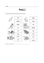 Pets - ESL worksheet by teacherlizbr13