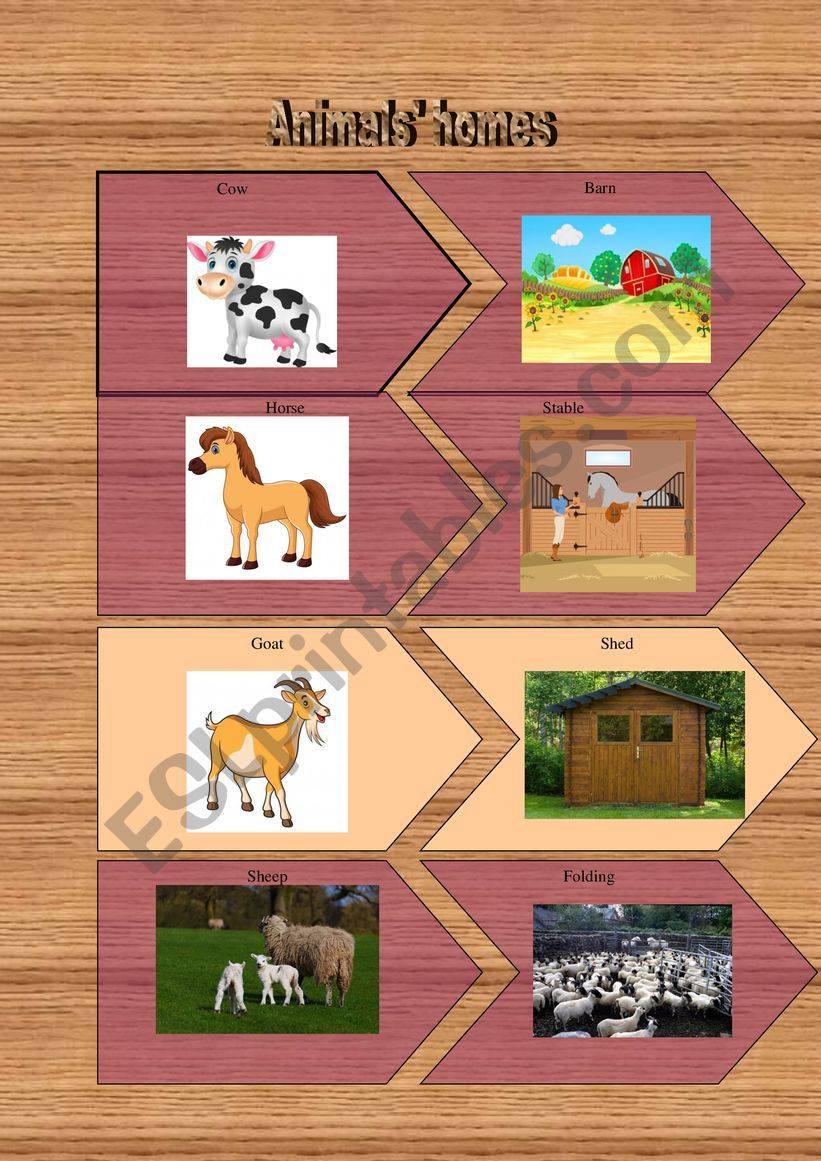 animalsï¿½ homes: flashcards - ESL worksheet by hibaaicha