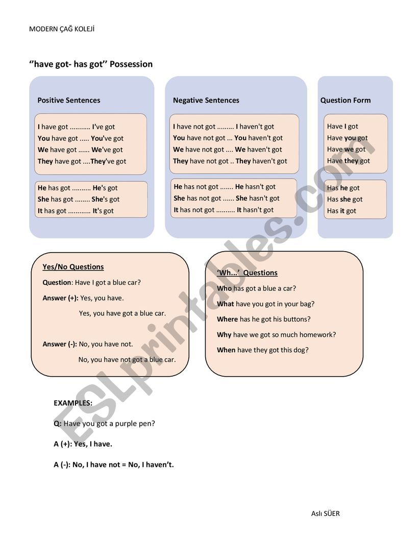 Possession ï¿½have got-has gotï¿½ - ESL worksheet by aslibarissuer