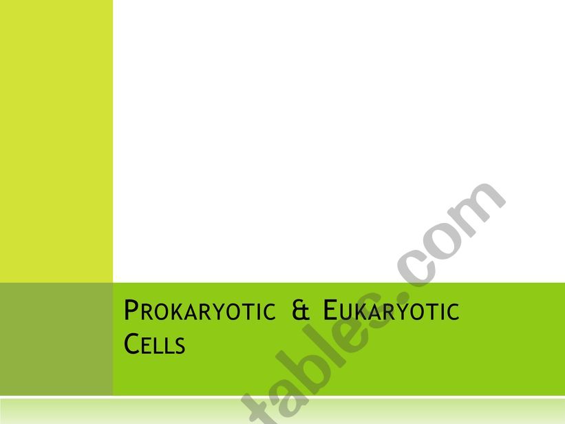 English Worksheets Types Of Cells english-worksheets-types-of-cells