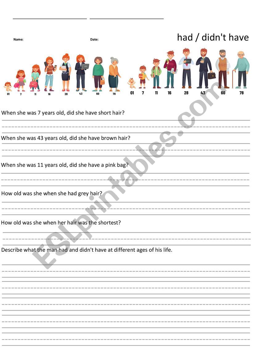 Had / Didnï¿½t Have Worksheet - ESL worksheet by purpleron