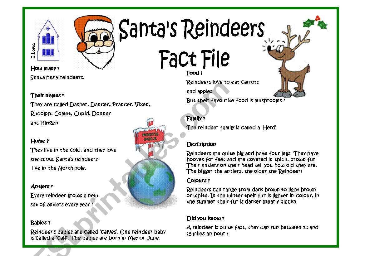 Santa´s Reindeers Factfile and Quiz - ESL worksheet by elowe