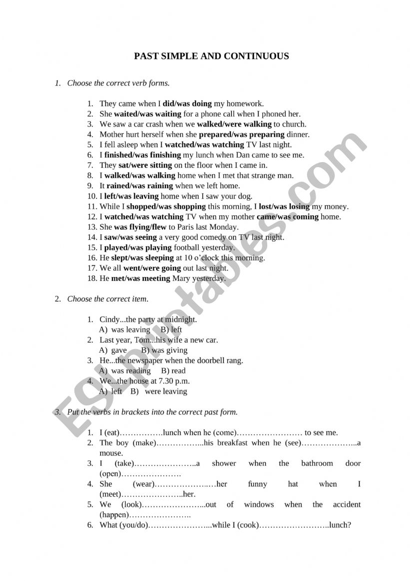 Past Simple and Continuous - ESL worksheet by Agniesyka72