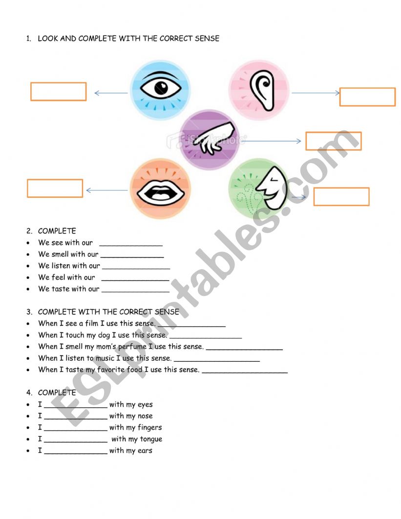 English worksheets: senses
