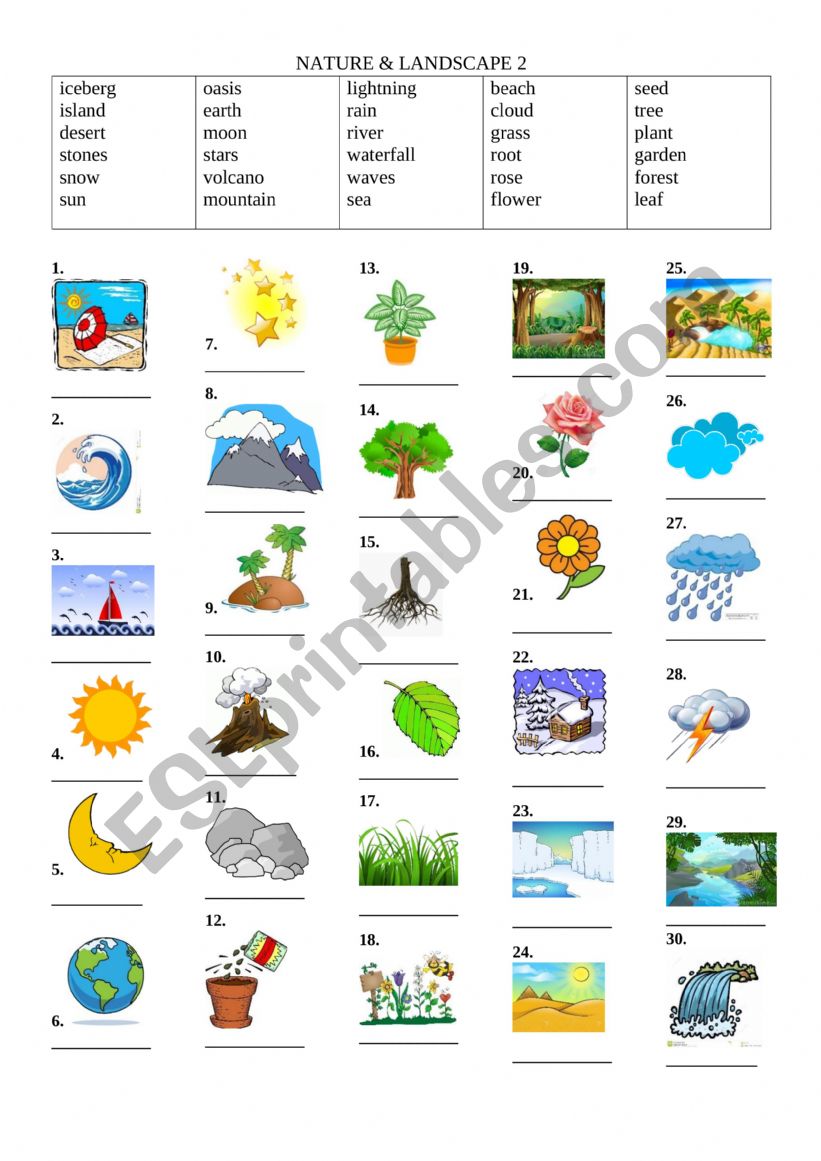English worksheets: Natural World