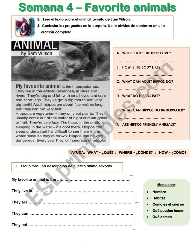 English worksheets: Favorite animals