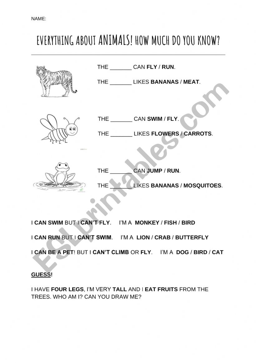 English worksheets: All about animals