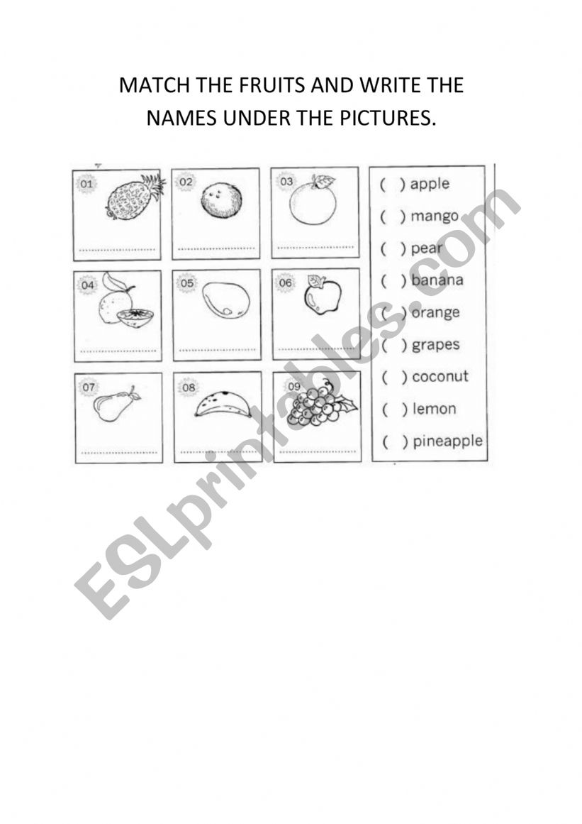 English worksheets: FRUITS