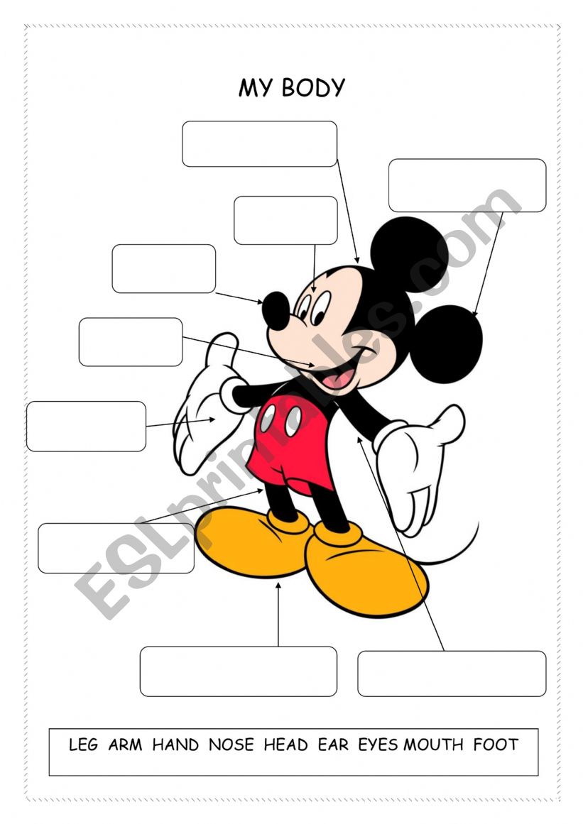 English worksheets: body parts