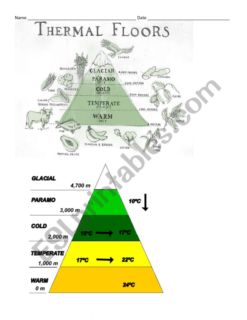 English worksheets: Thermal Floors