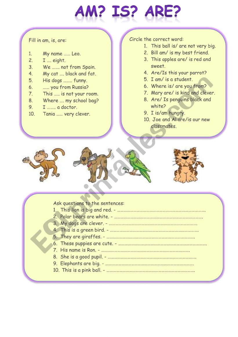 English worksheets: Is Am Are Worksheet