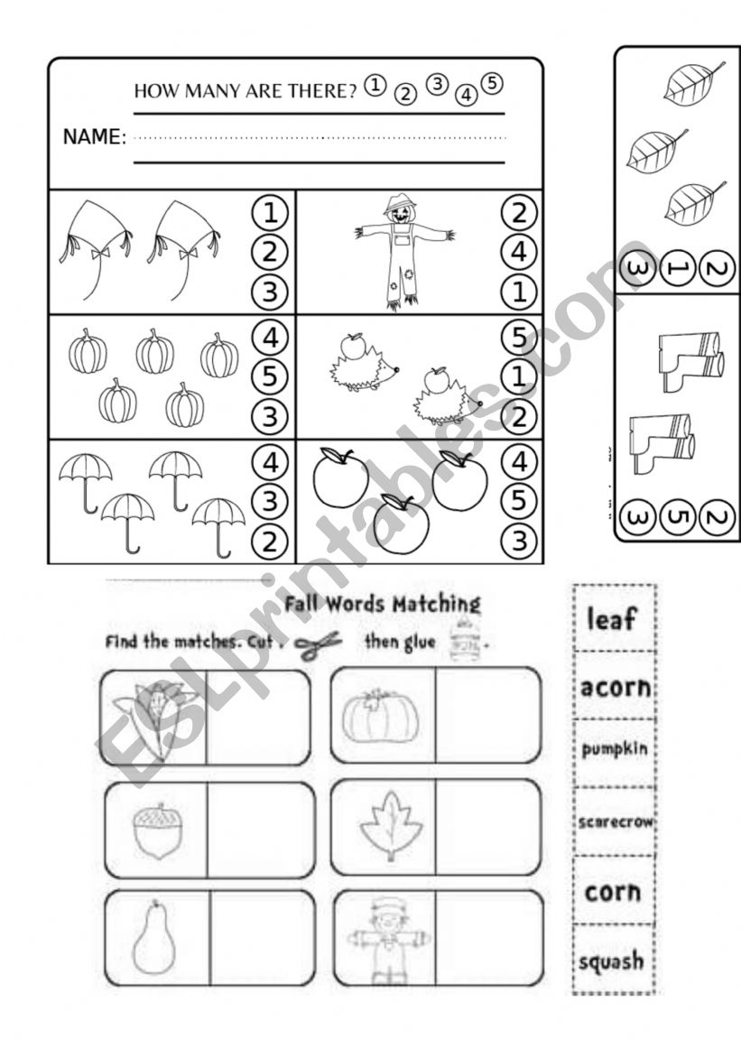 English worksheets: fall / autumn