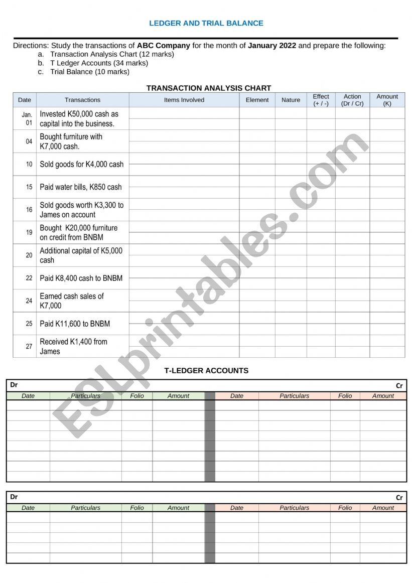 English worksheets: Ledger and Trial Balance