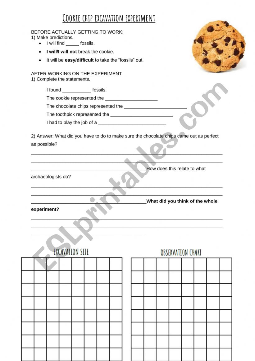 Cookie chip experiment to work on fossils - ESL worksheet by nrizzardo