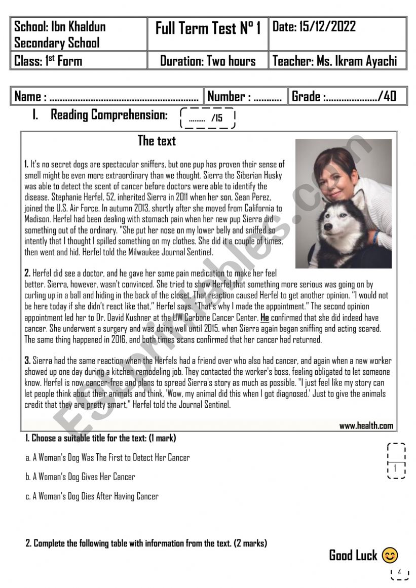 1st Form - Full Term Test 1 - ESL worksheet by English Teacher 24