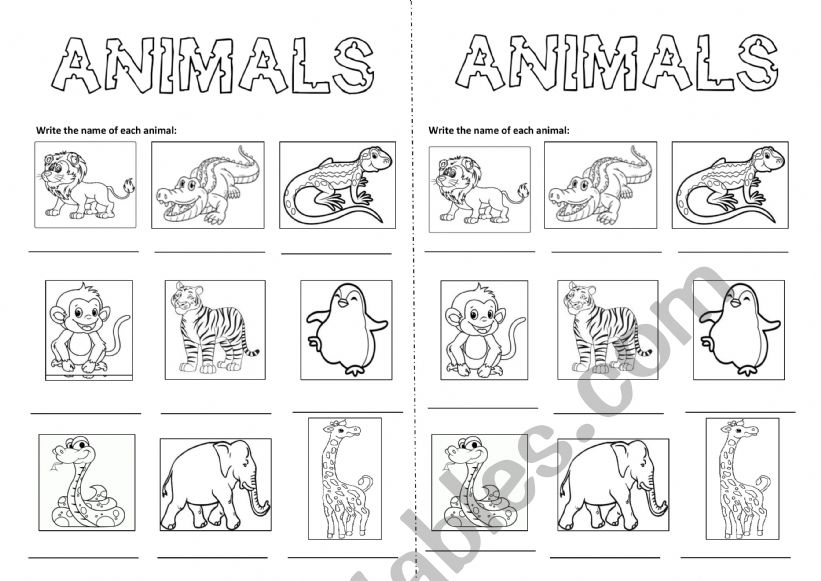 Animals 2° - ESL worksheet by medina2020