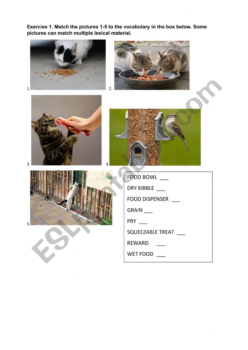 Useful tips on how to teach a cat. - ESL worksheet by holy.schlamoly