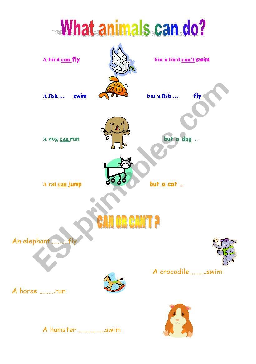 English worksheets: animals can or can´t