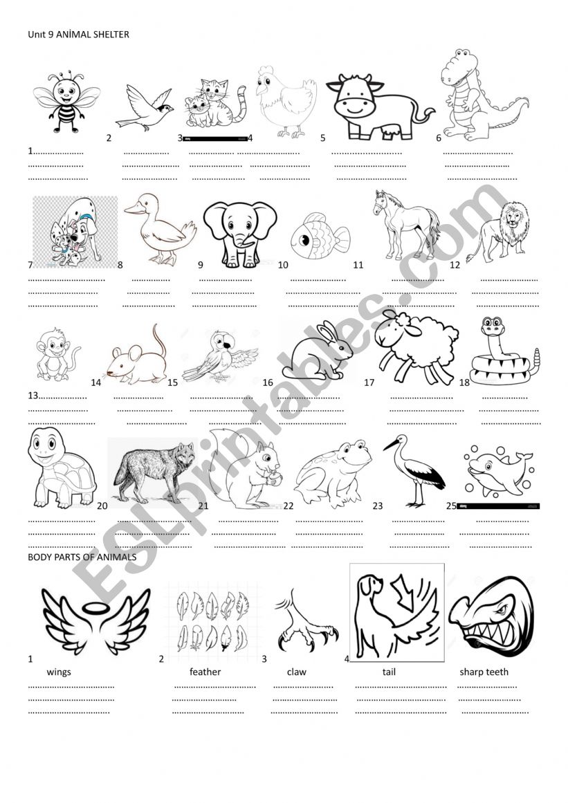 Animal and farm activities pictionary - ESL worksheet by esik