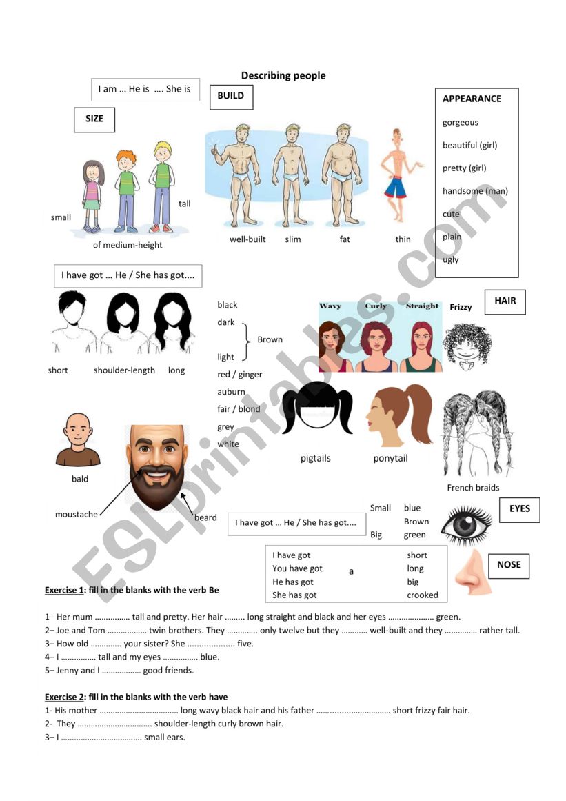 Describing someone - ESL worksheet by braincrusher