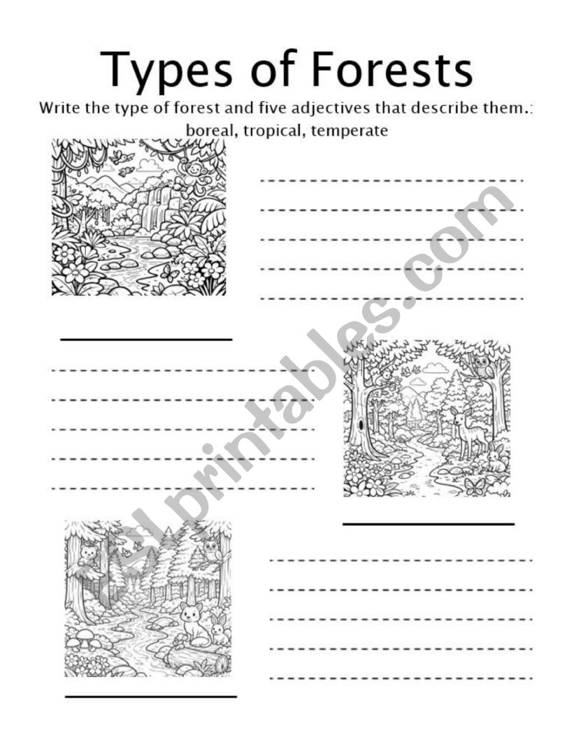 Types of Forests - ESL worksheet by JossRuiz.Teach