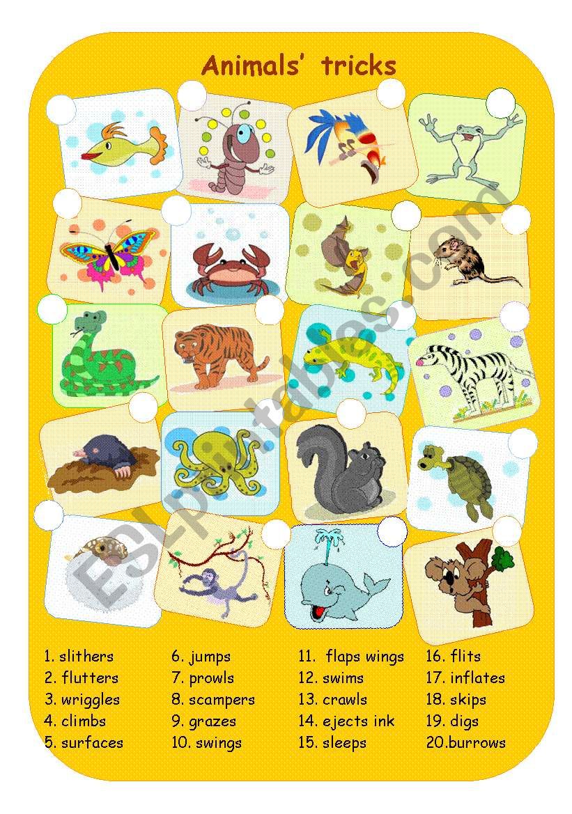 Animals´ tricks - ESL worksheet by Irina55