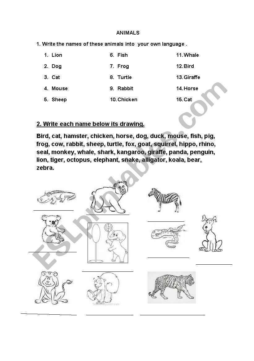English worksheets: Animals´names and descrptions