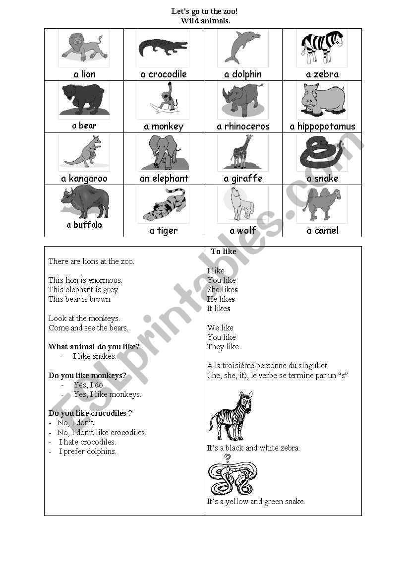 let´s go to the zoo - ESL worksheet by gesson