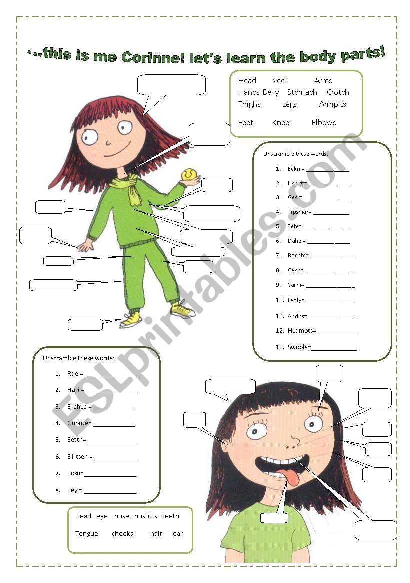 let´s learn the body parts - ESL worksheet by olaola