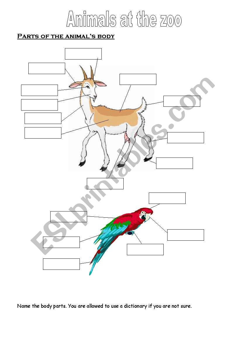 Parts of the animal´s body - ESL worksheet by rainqueen