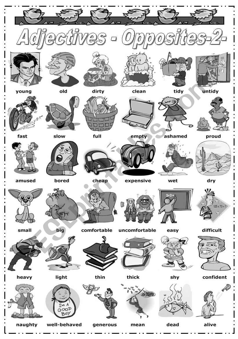 Opposite Adjectives Vocabulary Pictionary Poster Worksheet