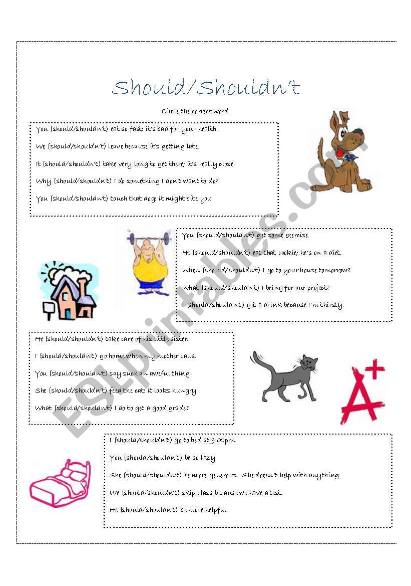 Should or Shouldn´t - ESL worksheet by mmrwwjd2