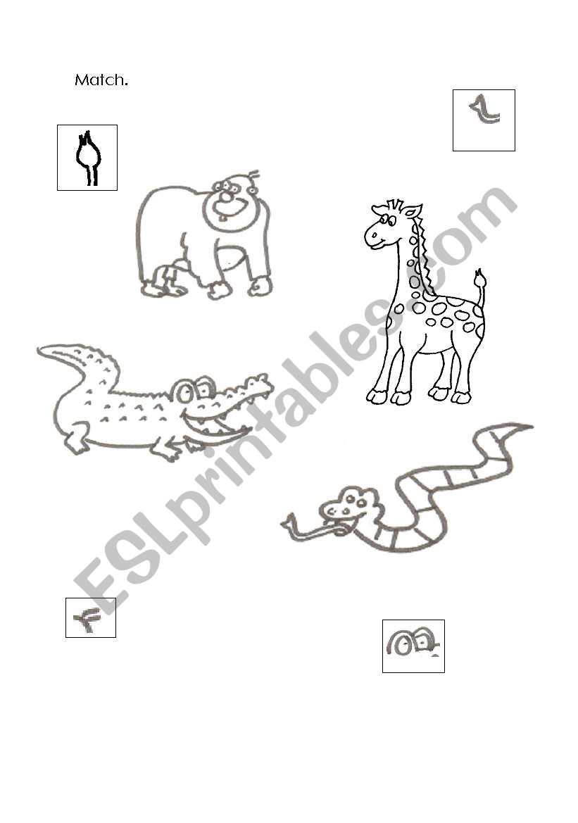 English worksheets: Animal´s match.