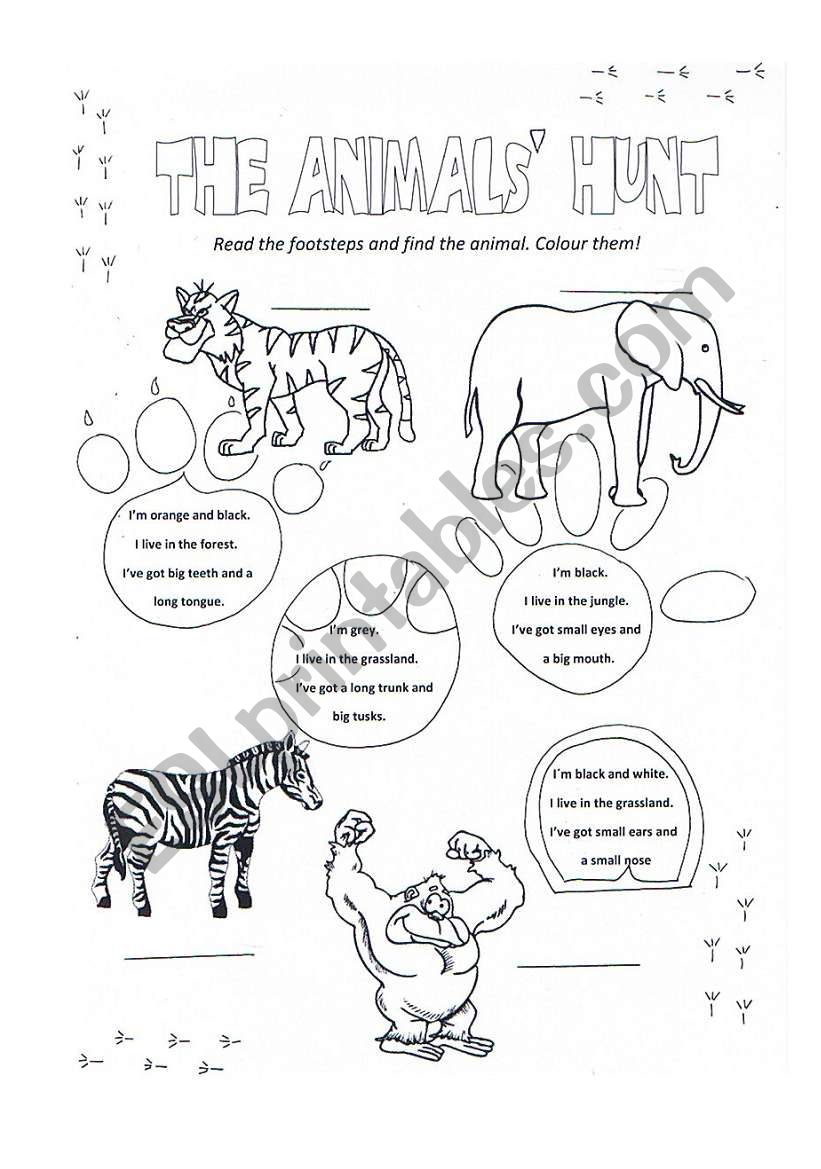Animals´ Hunt - ESL worksheet by anusk334