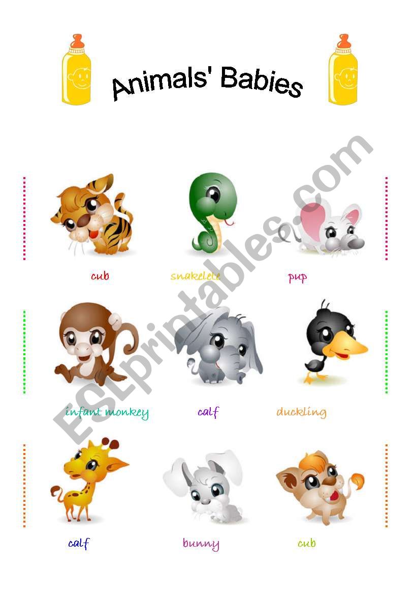 Animals´ babies ( 3 PAGES/ PRACTISE INCLUDED) - ESL worksheet by Mouna mch