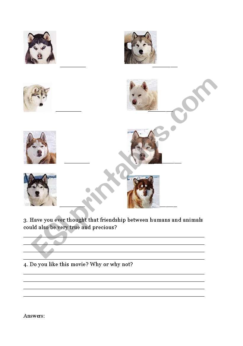 Eight Below Movie ESL Worksheet By Jenes02, 50% OFF Eight Below Movie ESL Worksheet By Jenes02, 50% OFF