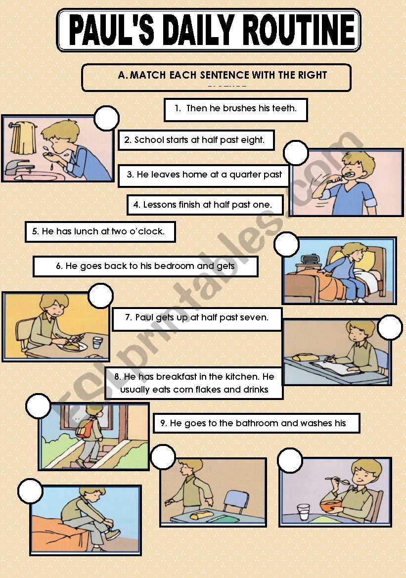 PAUL´S DAILY ROUTINE - ESL worksheet by macomabi