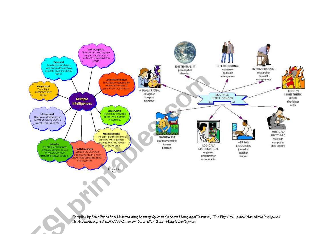 Multiple Intelligences New Horizons