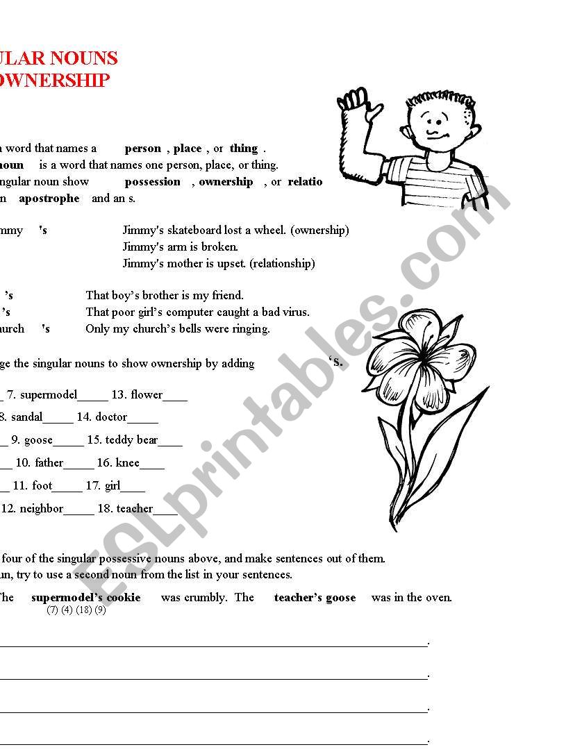 English worksheets: Singular-Plural Nouns/Ownership ( ´s)