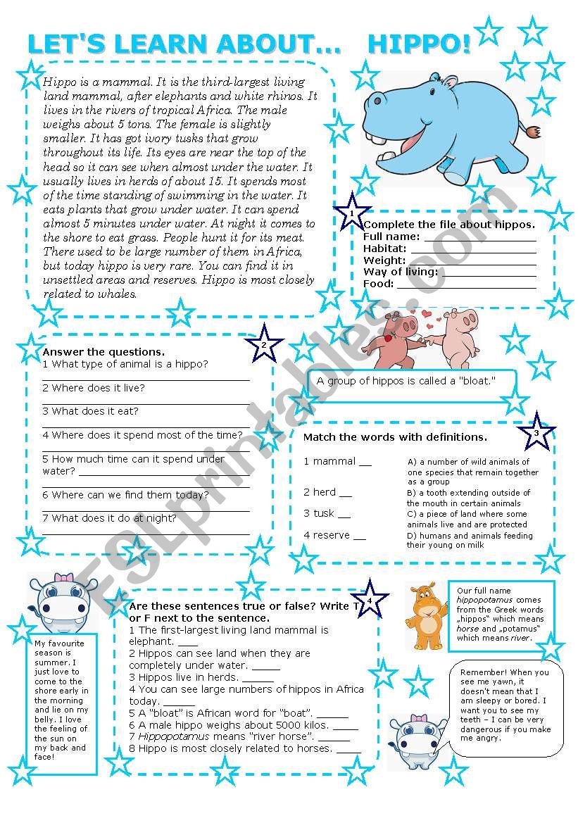 LET´S LEARN ABOUT... HIPPO (with key) - ESL worksheet by veljaca82