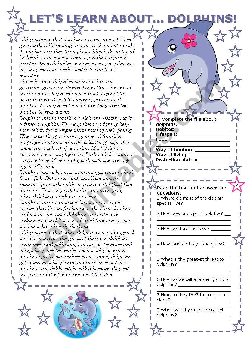 LET´S LEARN ABOUT... DOLPHINS! - ESL worksheet by veljaca82