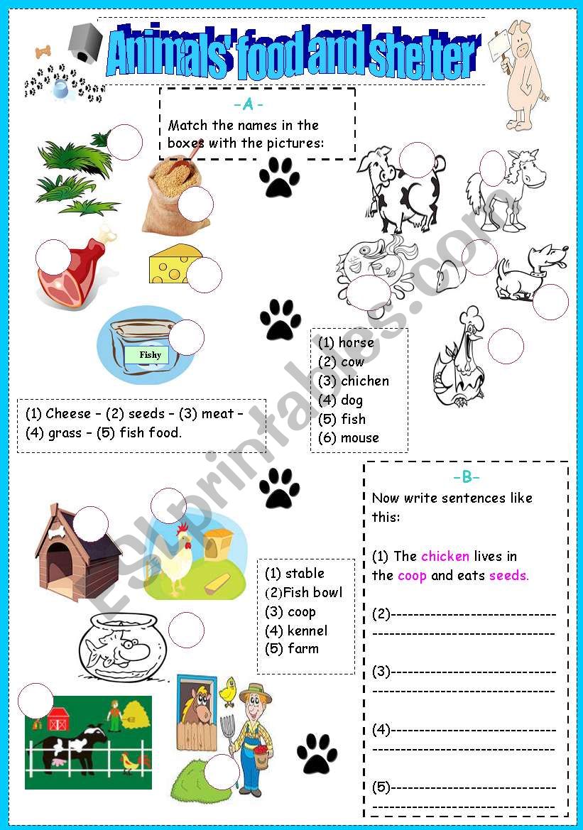 Animals´ food and shelter - ESL worksheet by Mouna mch