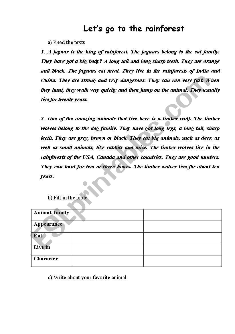 English worksheets: Let´s go to the Rainforest