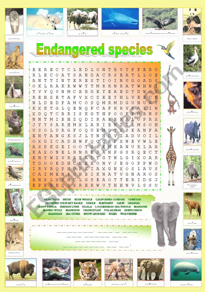 Endangered Species Part 3 5 Original Wordsearch Containing A Hidden