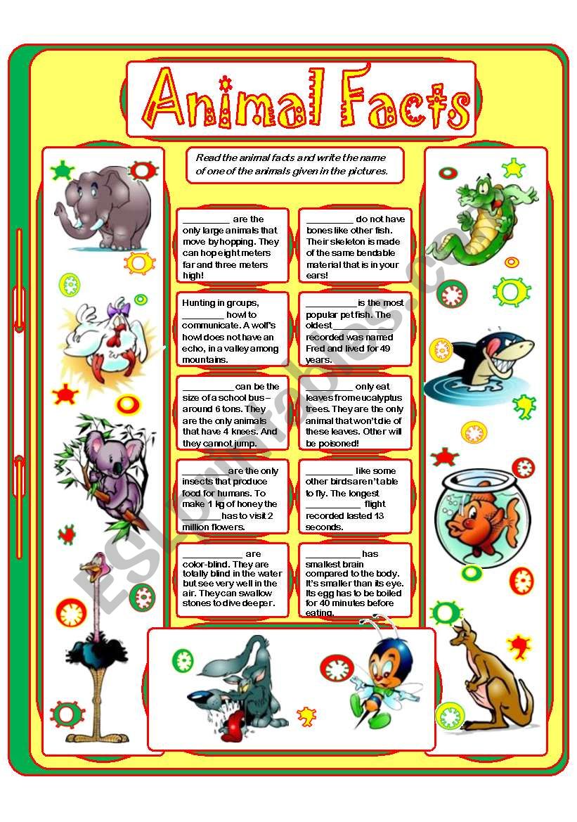 Animal Facts ESL Worksheet By Yulia Mo