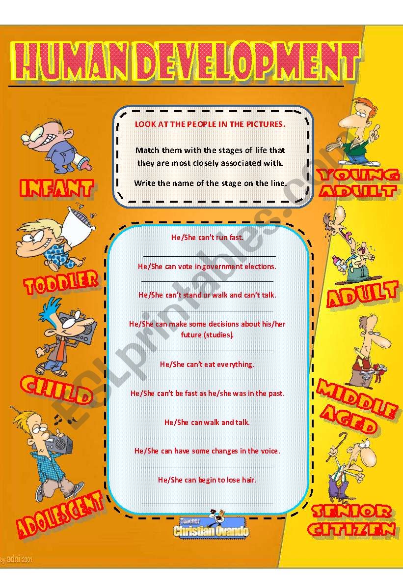 Human Development (Can / Can´t) - ESL worksheet by Chriss-MX