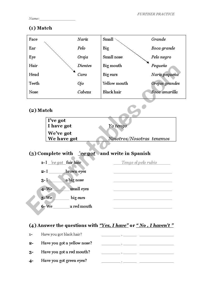 HAVE GOT - HAVEN´T GOT adjectives and body parts - ESL worksheet by ...