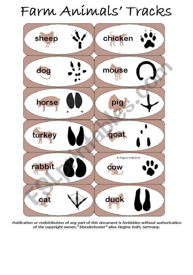 Farm Animal Footprints
