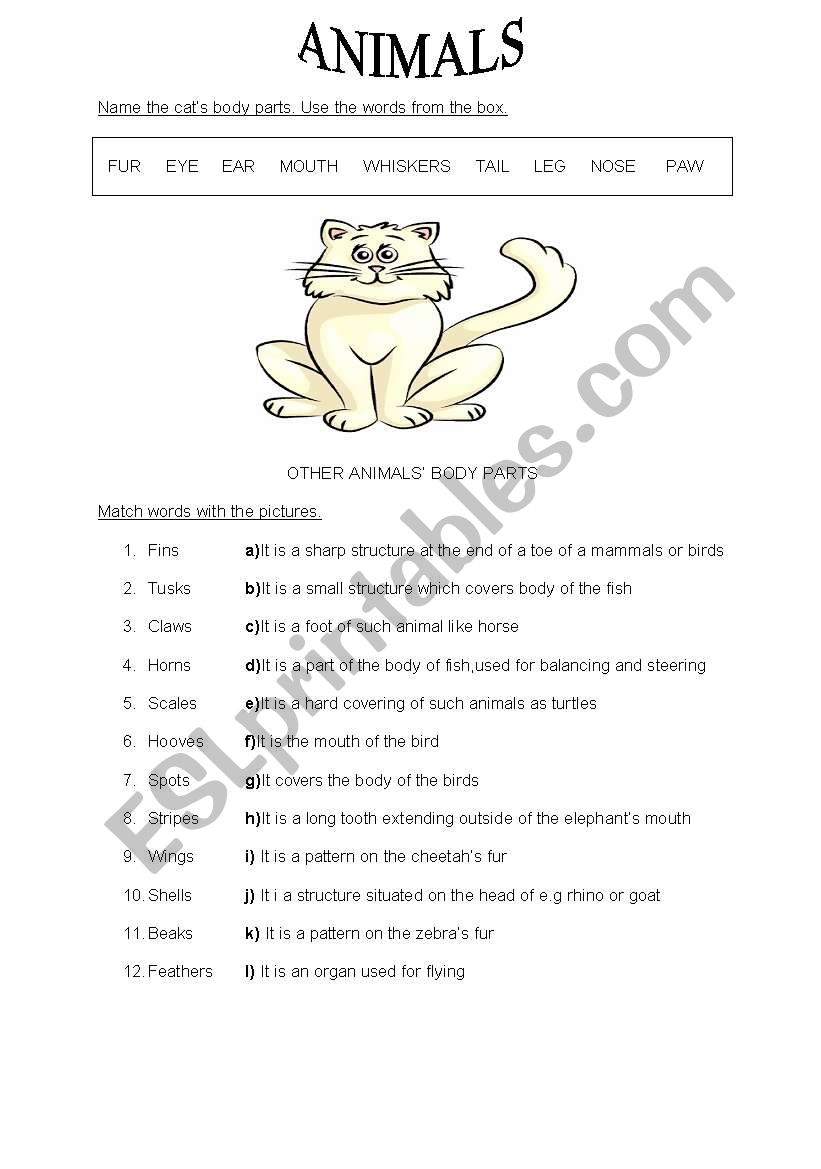 Animals´ body parts - ESL worksheet by Ajdol